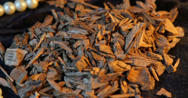 Real Oud Factory Oud Wood Philippine III Super Dagga